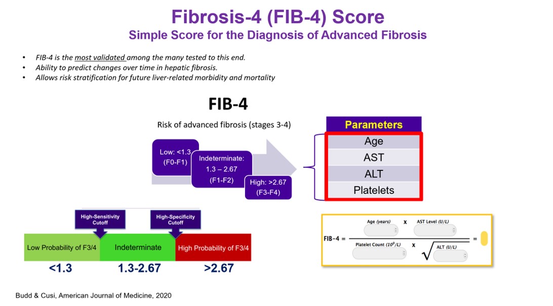 Độ chính xác của FIB-4 trong việc xác định tình trạng xơ hóa gan đáng ...