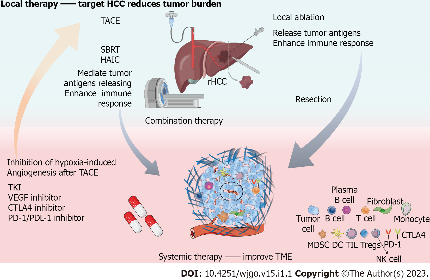 Ứng dụng truyền hóa chất động mạch gan FOLFOX HAIC trong điều trị Ung ...
